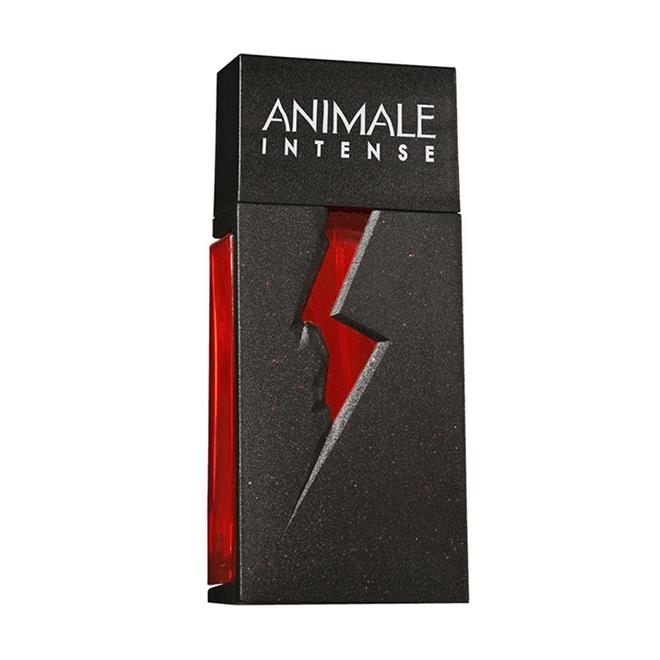 Perfume Animale Intense For Men Eau de Toilette Masculino