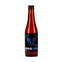 Cerveja Lupulus Hopera 330ml